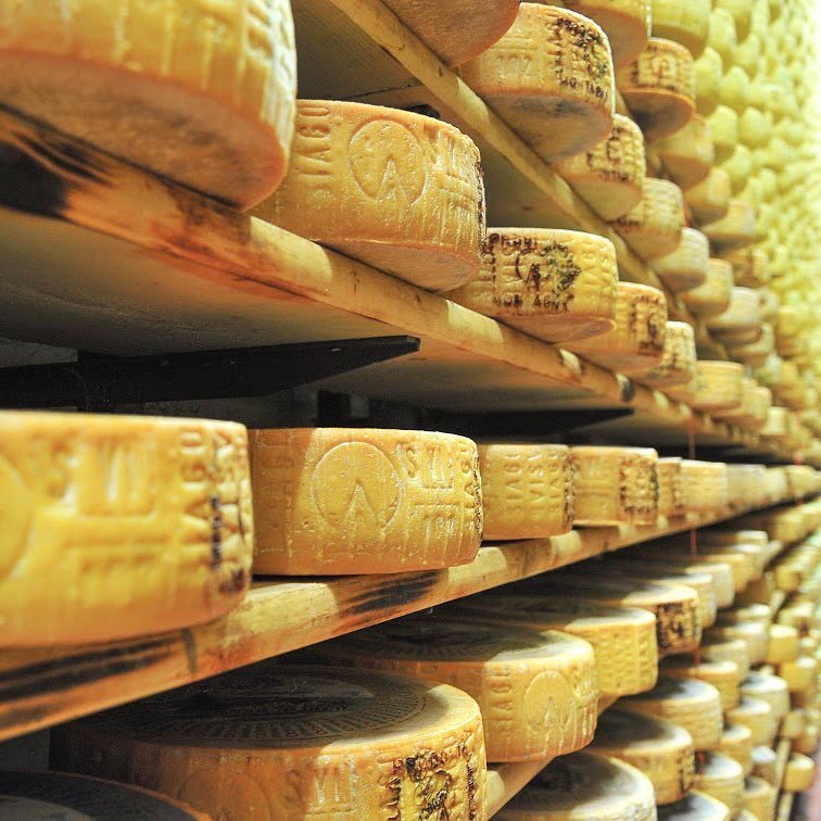 Italian Wine and Cheese Pairings | F.N. Sharp